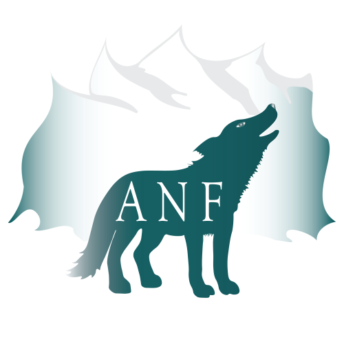 ANF Homepage